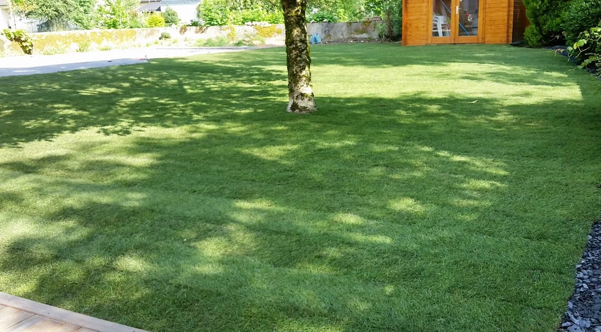 Engazonnement - Soulès Paysages